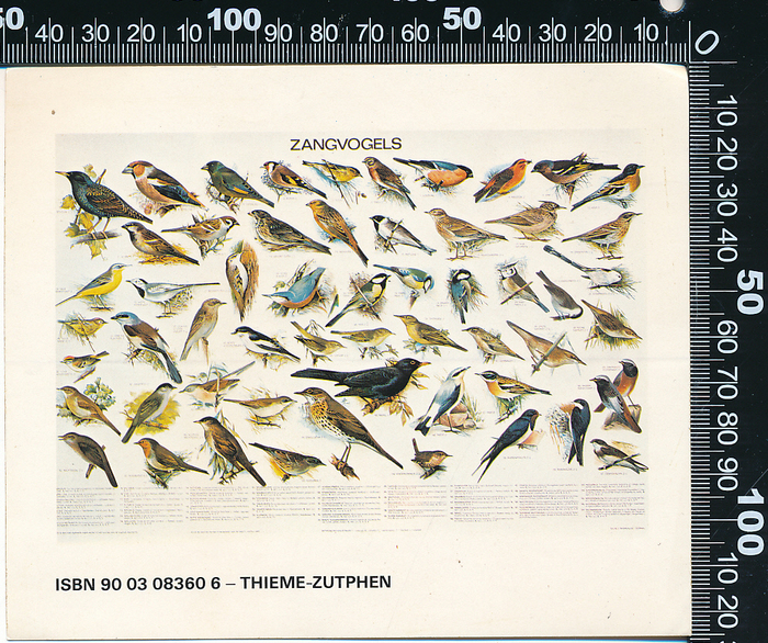 Thieme - Zangvogels - Zutphen