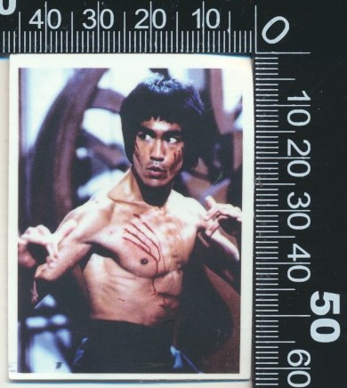 Bruce Lee (44)